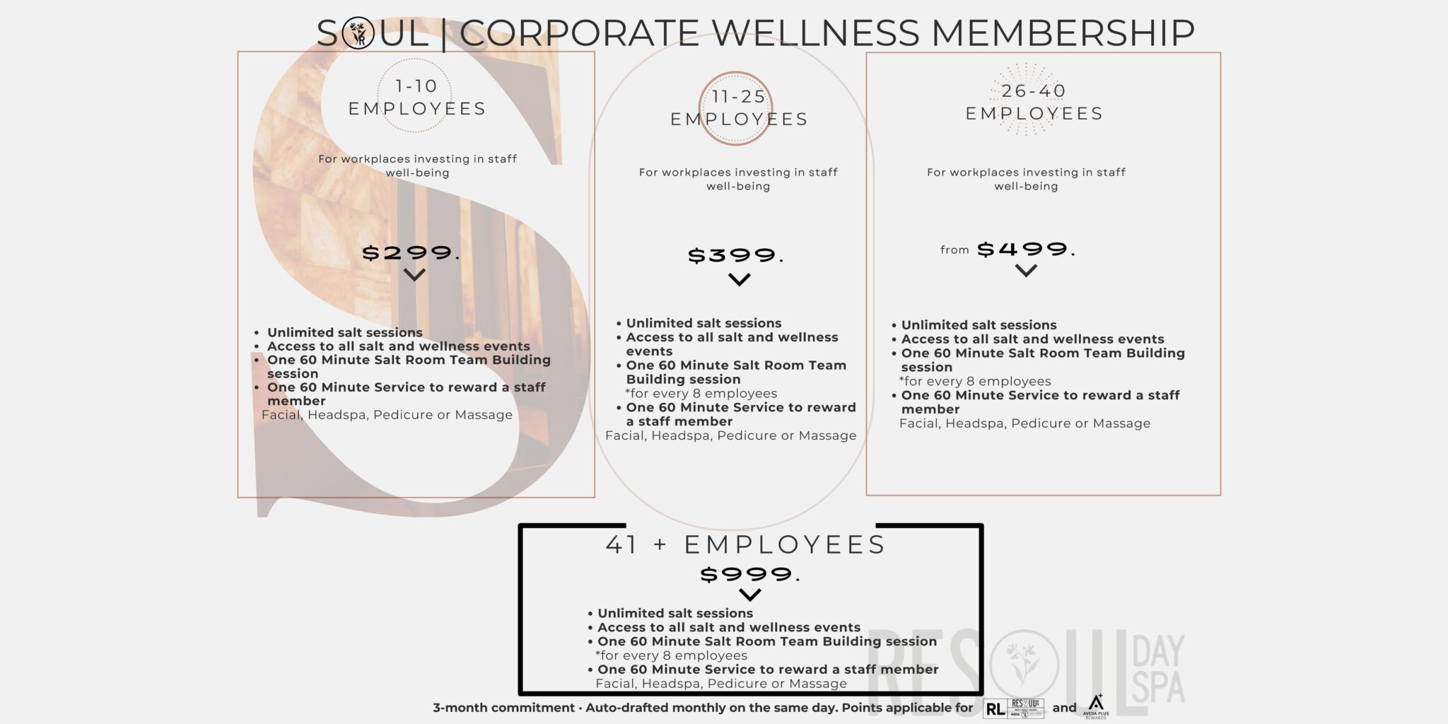 Wellness Memberships - Resoul day spa | Aveda Concept